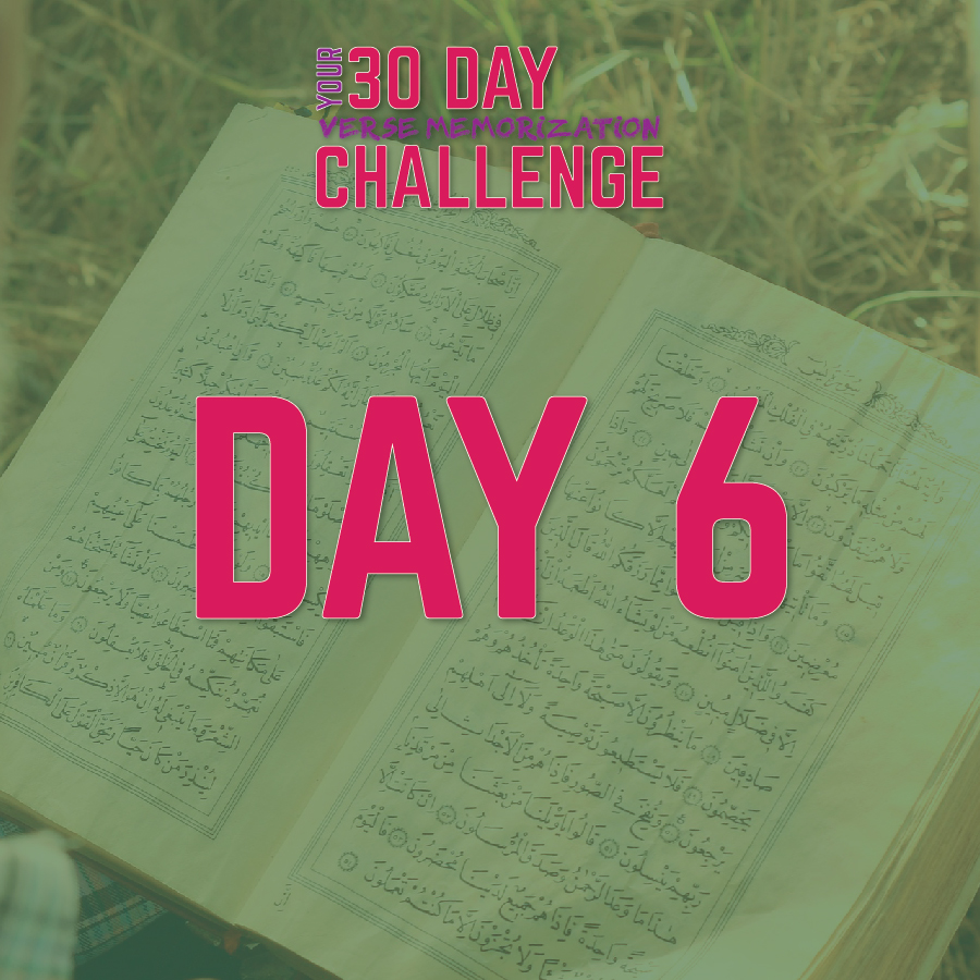 30 Day Qur’an Challenge - The Academy for Learning Islam