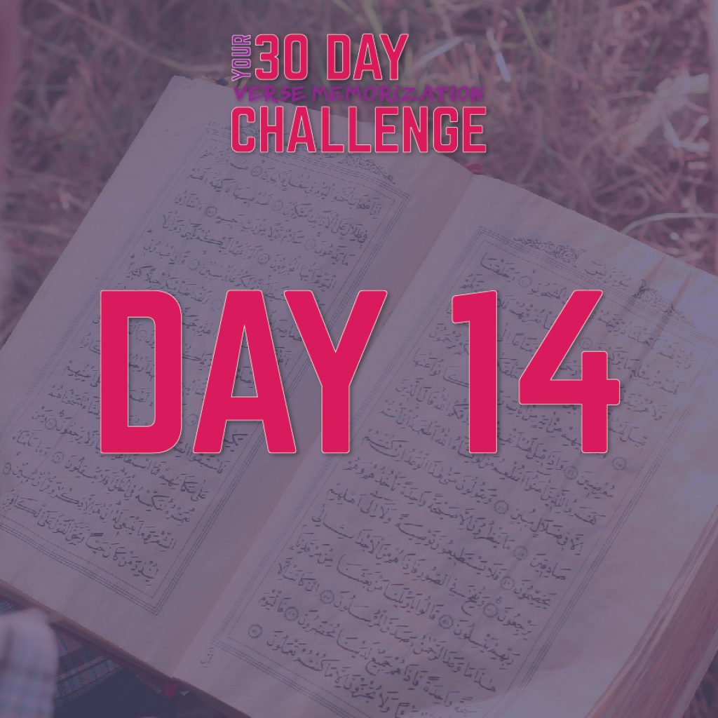 30 Day Quran Challenge – Academy for Learning Islam