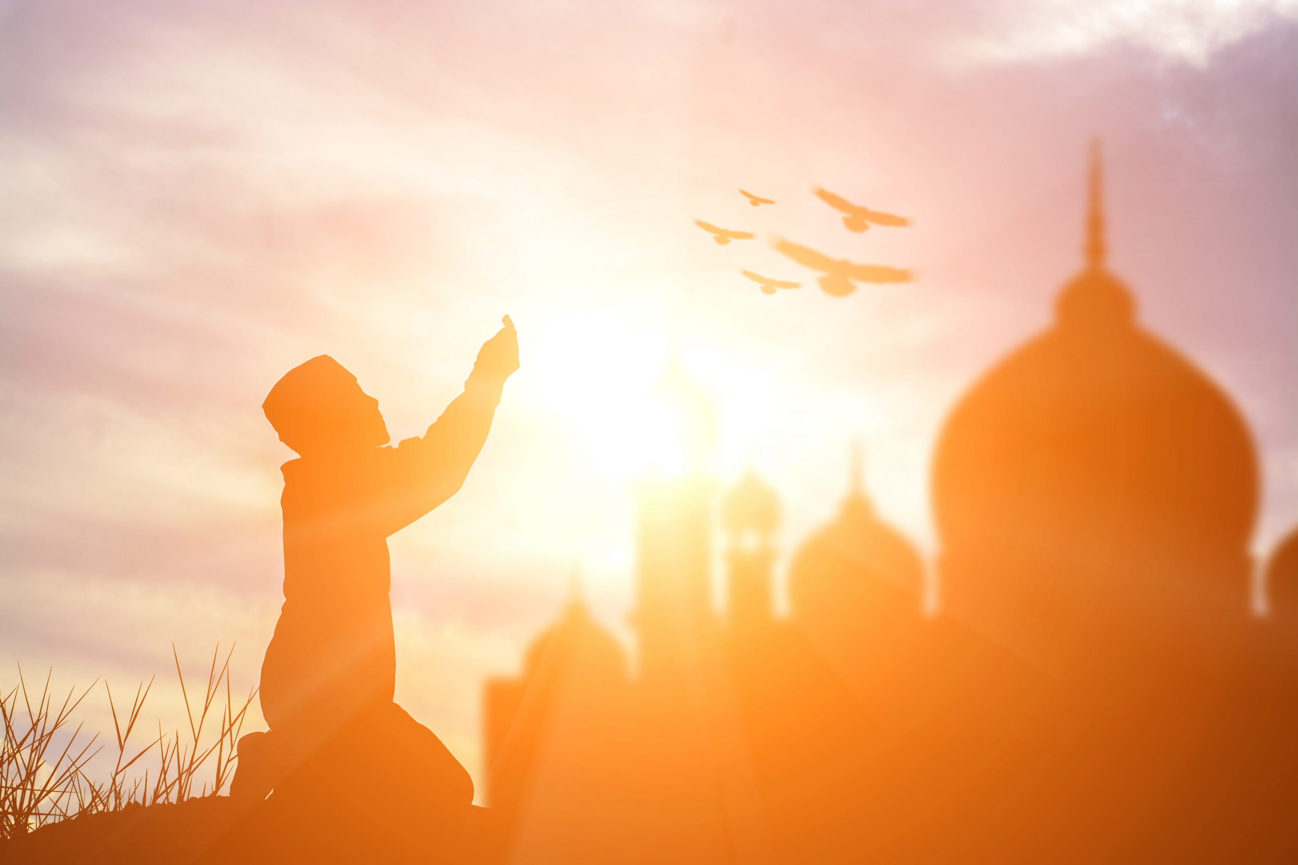 ALI-606: A Discussion on Perfection (for women only) - The Academy for ...